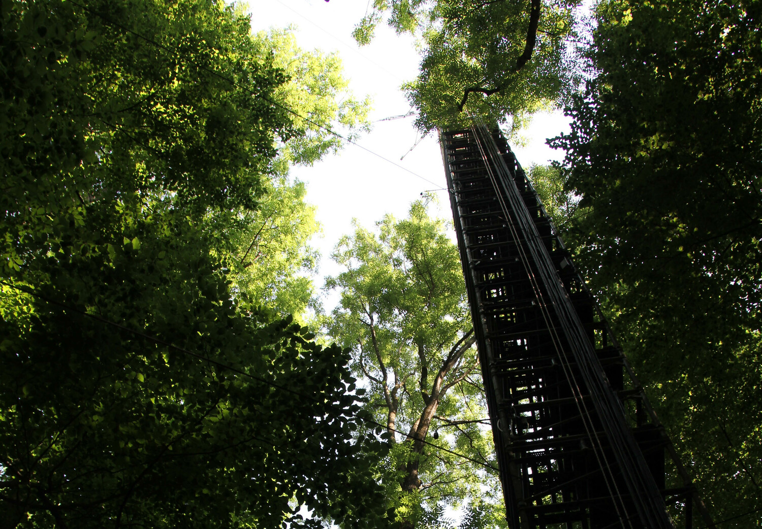 Universität Göttingen - Georg-August-Universität Göttingen