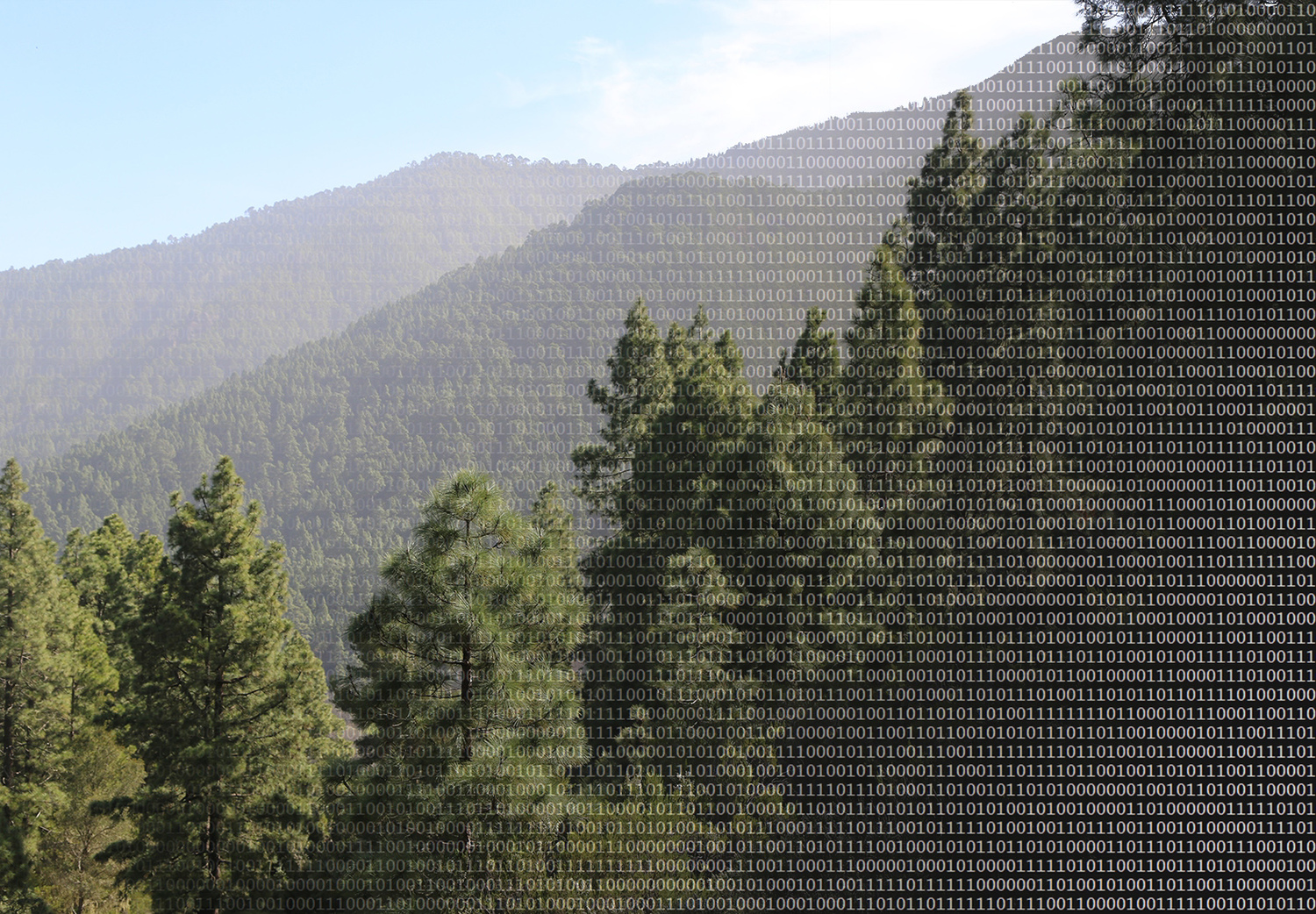 University of Göttingen - Georg-August-Universität Göttingen