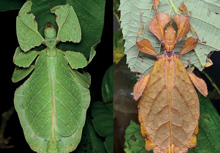 University of Göttingen - Georg-August-Universität Göttingen